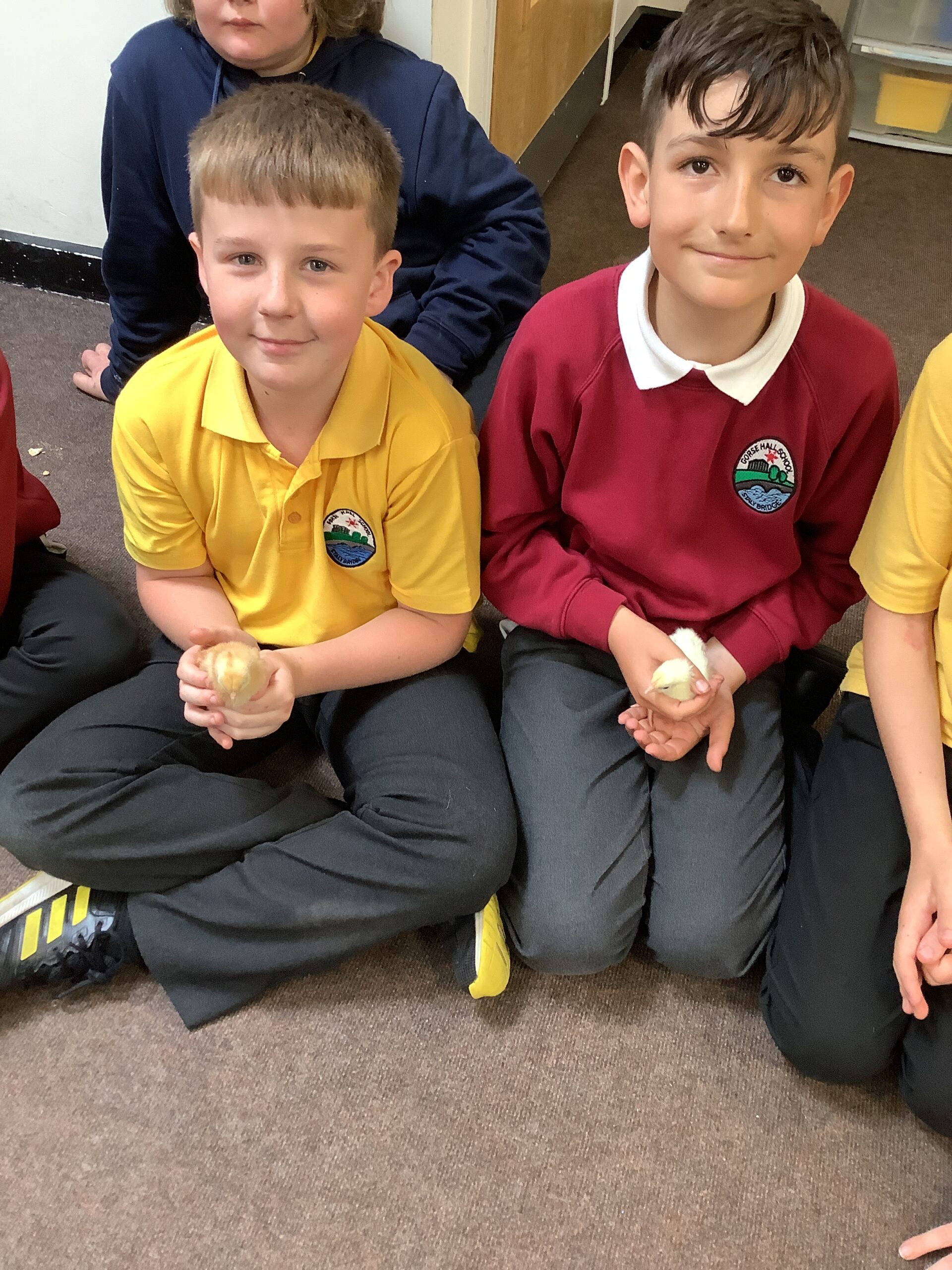 Science - Gorse Hall Primary School